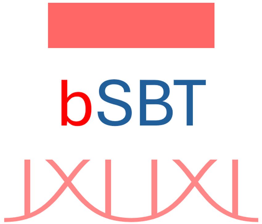 Established in 2016 by Alper Kesim,